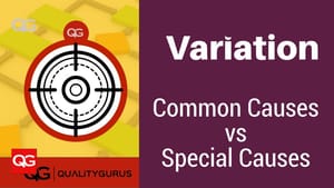 Special Cause vs. Common Cause Variation | Quality Gurus