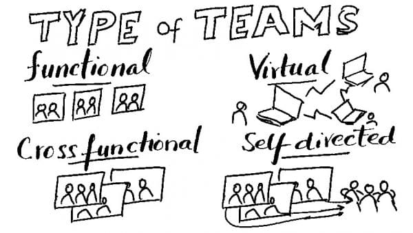 4 Types of Teams | Quality Gurus