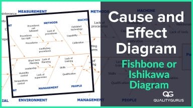 Cause and Effect Diagram, Fishbone or Ishikawa Diagram | Quality Gurus