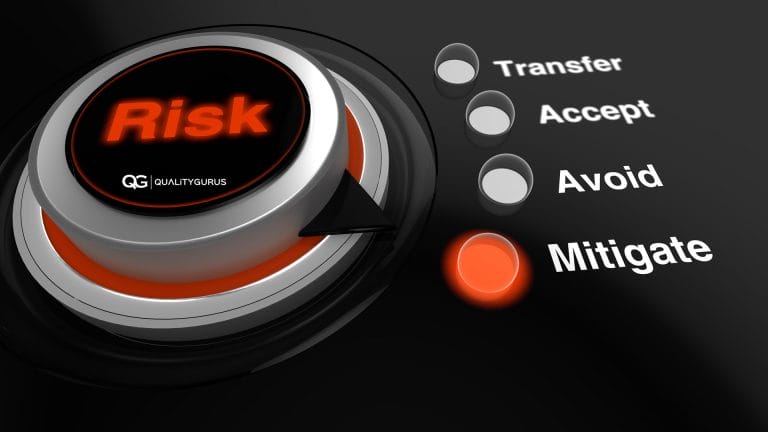 Examples of Risk Management Strategies | Quality Gurus