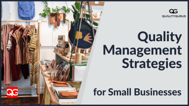 Quality Management Strategies for Small Businesses | Quality Gurus