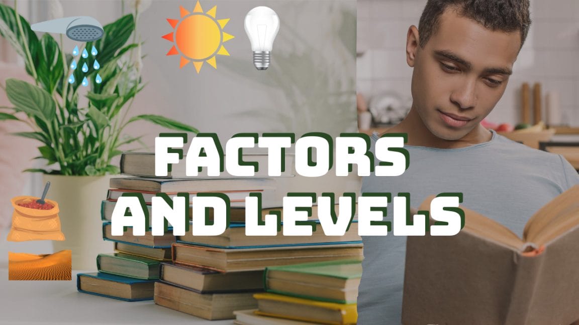 Factors and Levels in an Experiment
