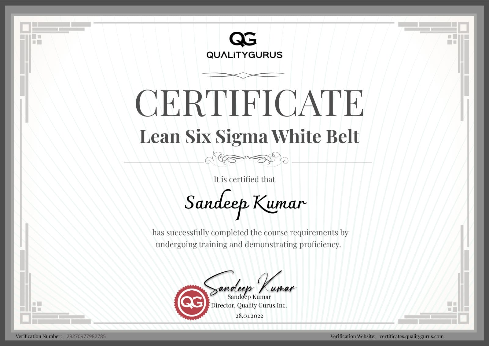 Six Sigma Team Roles and Responsibilities | Quality Gurus