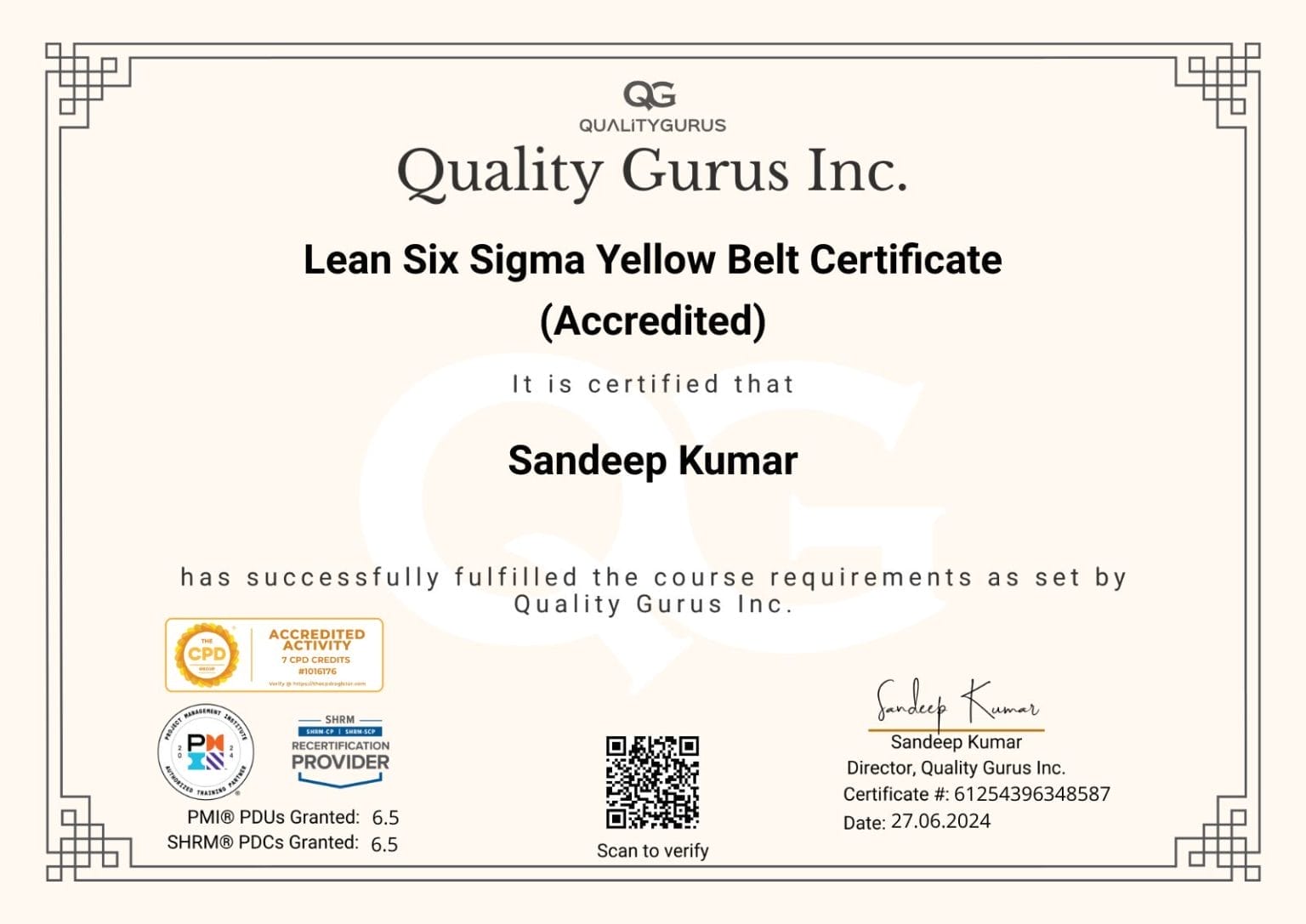 Six Sigma Team Roles and Responsibilities | Quality Gurus