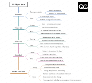 Six Sigma Team Roles and Responsibilities | Quality Gurus