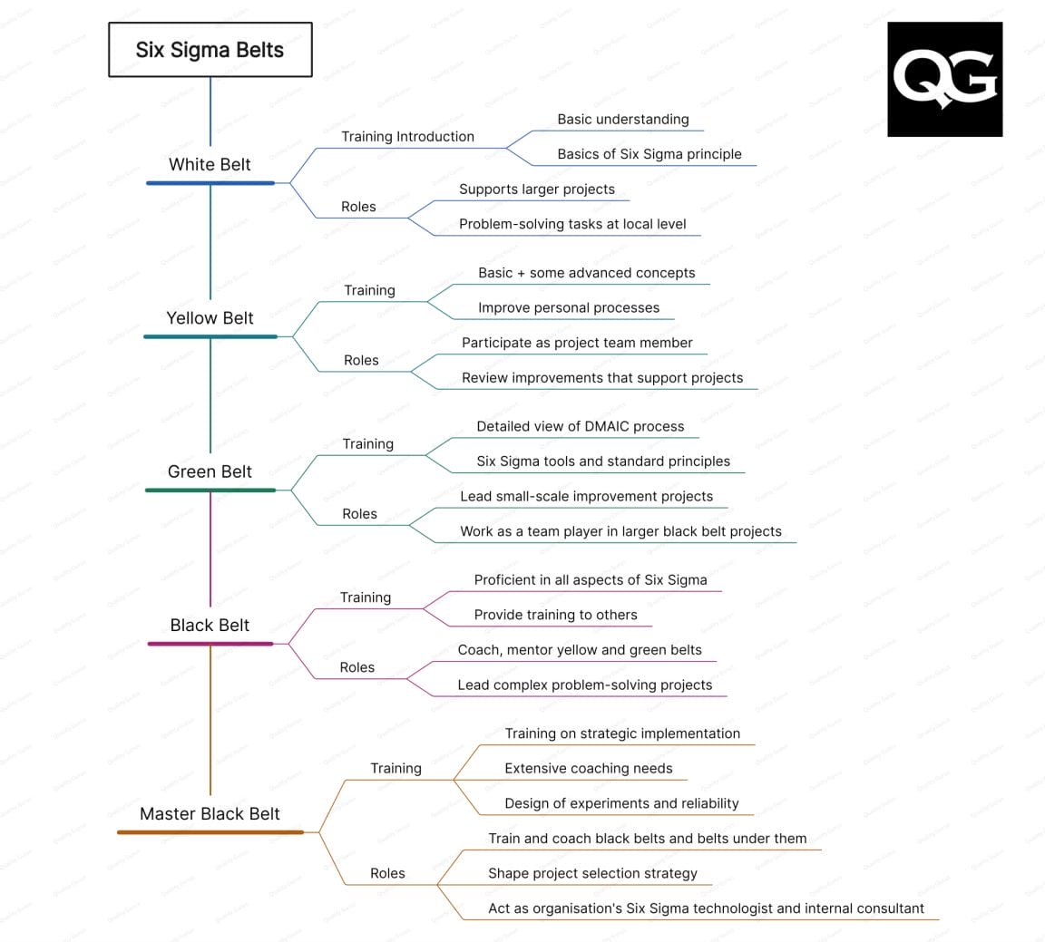 Six Sigma Team Roles and Responsibilities | Quality Gurus
