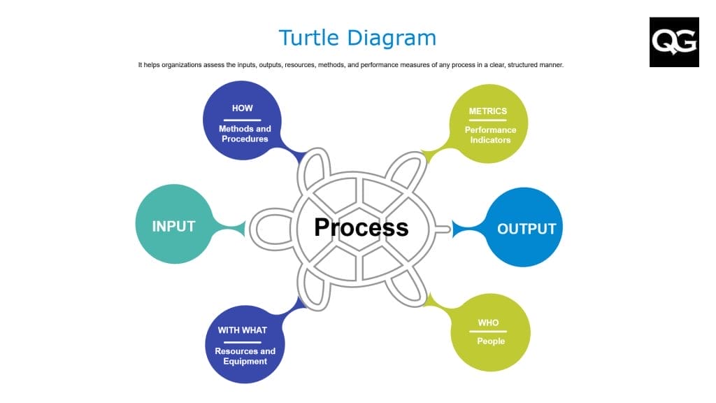 Turtle Diagram | Quality Gurus