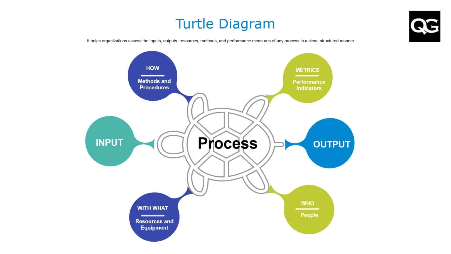 Turtle Diagram | Quality Gurus